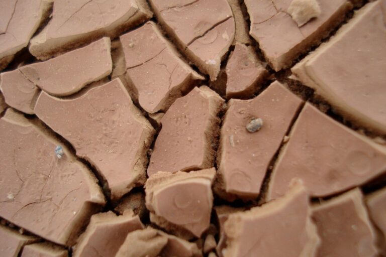 Cocinar en greda: 7 razones para hacerlo y 5 recetas para inspirarte